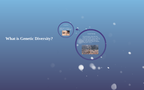 What is genetic Diversity by Adesh Mehta on Prezi