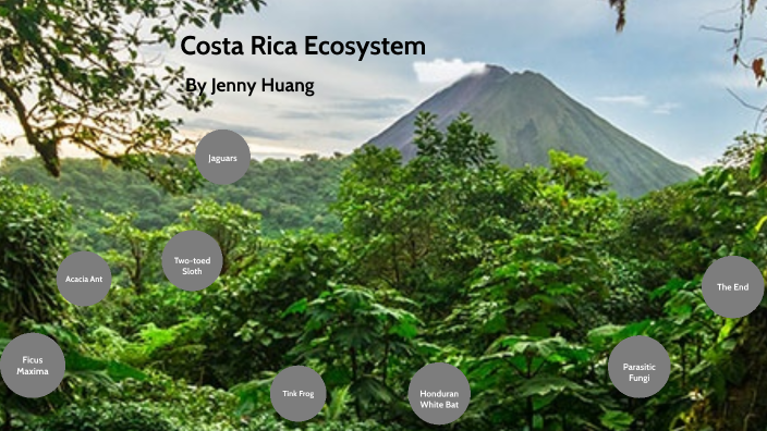 Costa Rica Ecosystem by Jenny Huang on Prezi