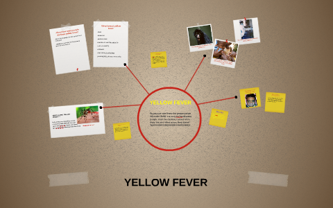 Yellow Fever disease!!!!!!!!!! by nyah allen on Prezi
