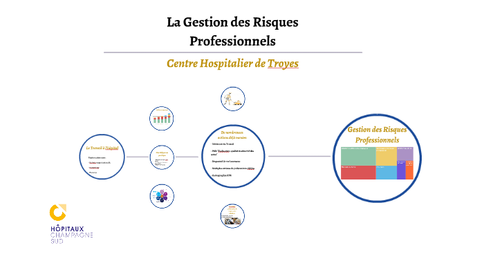 La gestion des risques Professionnels by samy bayod