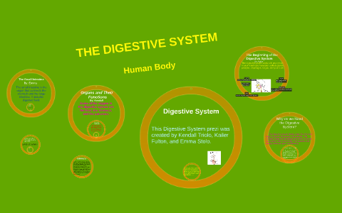 Digestive System by Kailer Fulton on Prezi