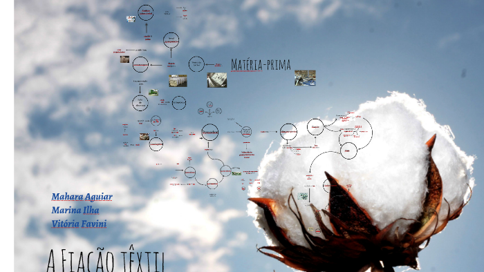 Fiação têxtil by Vitoria Favini on Prezi Next