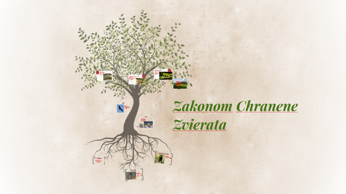 zakonom chranene zvierata by sara azimi on Prezi