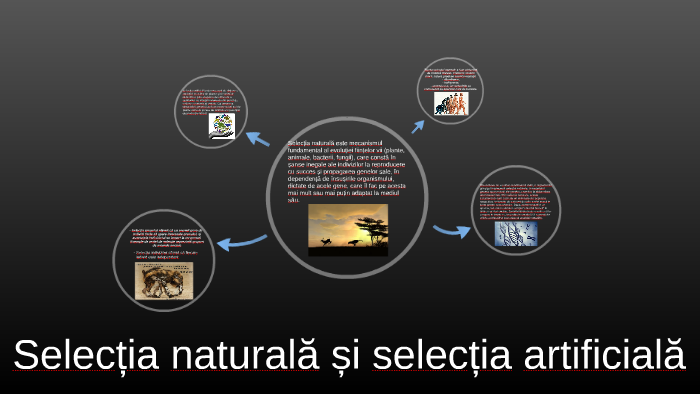 Selecția naturală și selecția artificială by Ludmila Dugan on Prezi