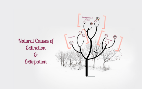 Natural Causes to Extinction and Extirpation by Josh Keith on Prezi