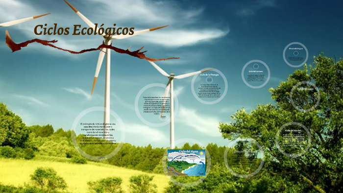 Ciclos Ecológicos by Renata Dubon on Prezi