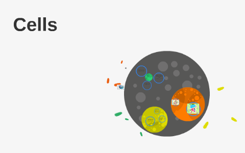 c by joseph cacioppo on Prezi