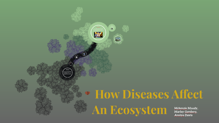 Diseases Affect An Ecosystem by mckenzie moody on Prezi