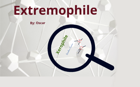 Xerophile by Oscar Pollitt on Prezi