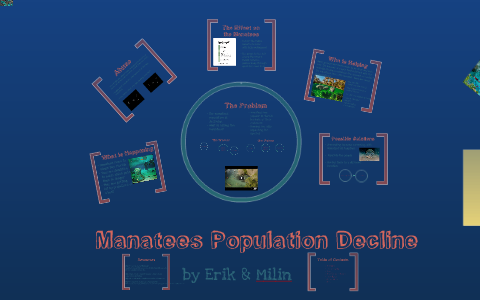 Manatee Population Decline by Erik Anderson on Prezi