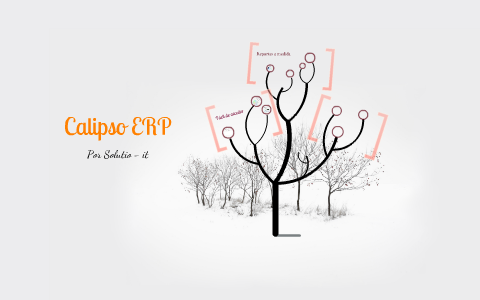 Demo Calipso ERP by agustina peñalba on Prezi