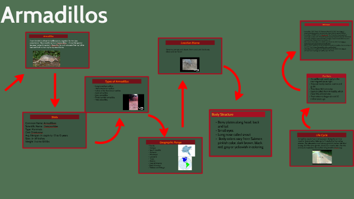 Armadillos by Antwon Jacobs on Prezi