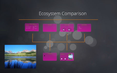 Ecosystem Comparison by Evelyn Coronado on Prezi