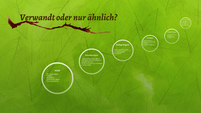 Verwandt oder nur ähnlich? by Lisa Doterer on Prezi