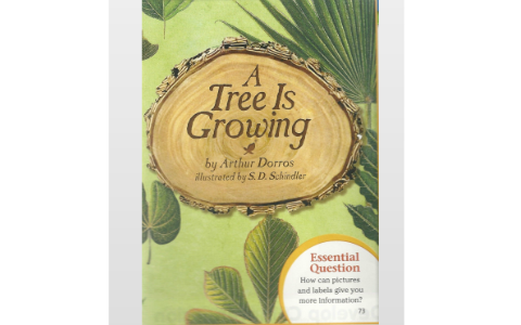 A Tree is Growing Comprehension by Susan Ostrander on Prezi