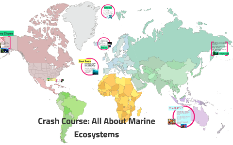 Crash Course: All About Marine Ecosystems by Teresa Meza on Prezi