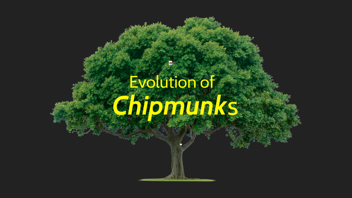 evolution of chipmunks by taylor quick on Prezi