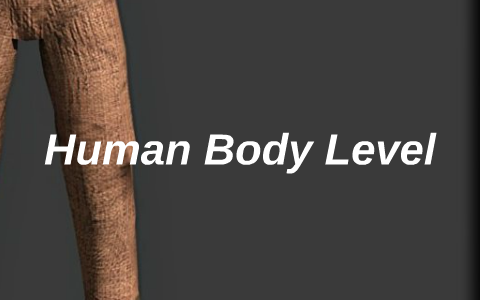 Human Body Level by Annie Lund on Prezi