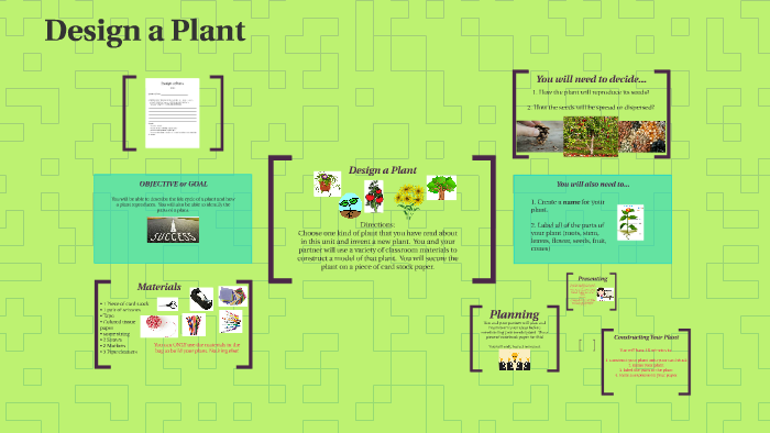 Design a Plant by Grace Judice on Prezi