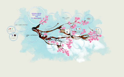 Analogies: Human Body vs. Animal Cell by Ciara Crowder on Prezi