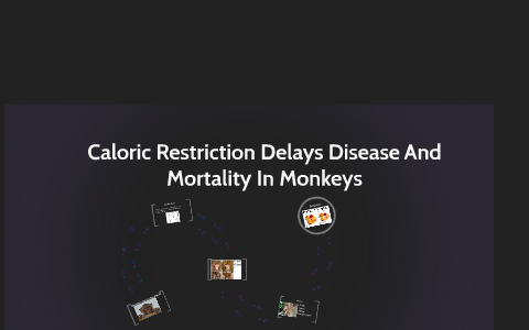 Caloric Restriction Delays Disease And Mortality In Monkeys by emeiko hunte