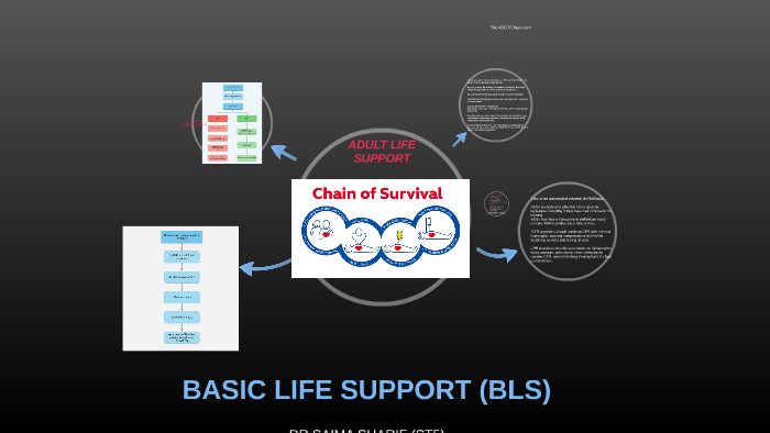 BASIC LIFE SUPPORT (BLS) by Saima Sharif on Prezi