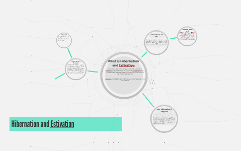 Hibernation and Estivation by David Dzwik