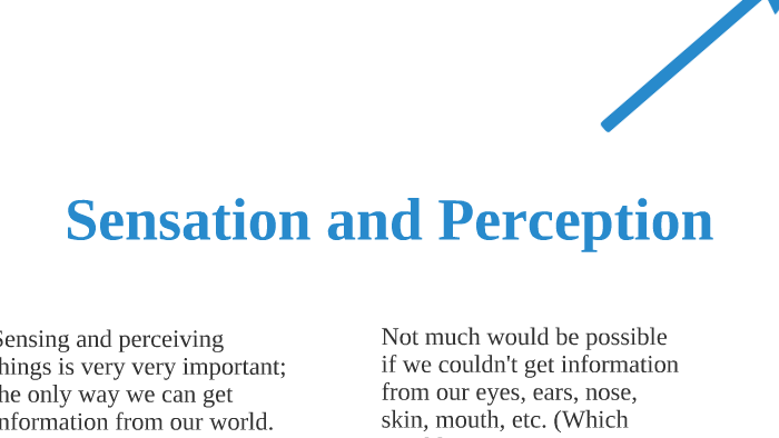 Unit 4: Sensation and Perception by Laura Koritz on Prezi
