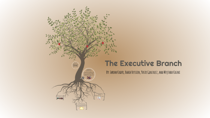The Executive Branch of Texas by Imran Kader on Prezi
