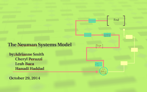 The Neuman Systems Model by Hanadi Haddad