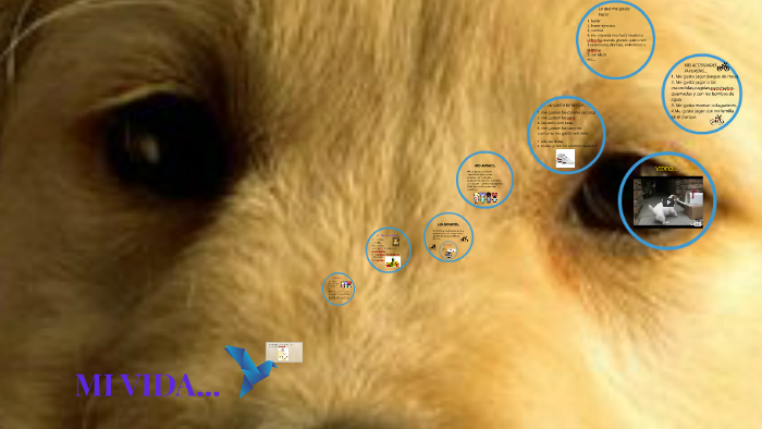 MI VIDA... by brigith xiomara gomez barbosa on Prezi
