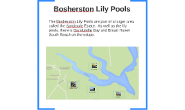 Bosherston Lily Pools by scott tate on Prezi
