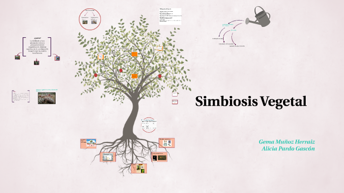 Simbiosis Vegetal by Alicia Pardo on Prezi