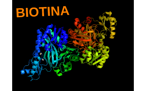 BIOTINA by John Garcia