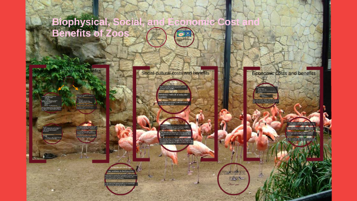 Biophysical, Social, and Economic Cost and Benefits of Zoos by Athena ...