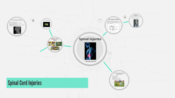 spinal injuries by jake roe on Prezi