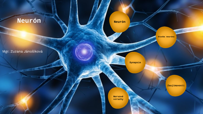 Neurón by Stanislav Peniasko on Prezi