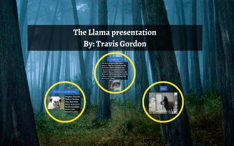 The Llama presentation by travis gordon on Prezi