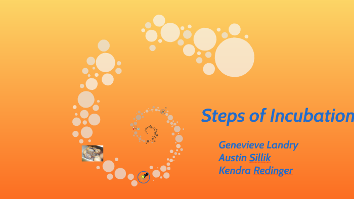 Steps of Incubation by on Prezi