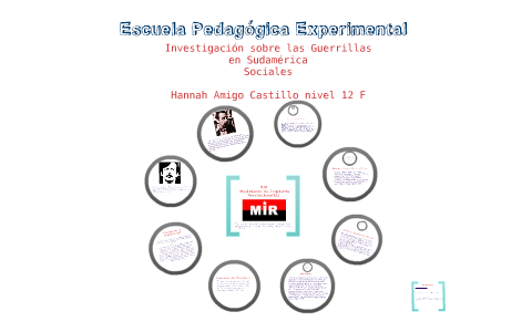 El MIR de Chile. (Movimiento de Izquierda Revolucionario) by Hannah ...