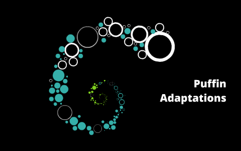 Puffin Adaptations by Lily Tat on Prezi