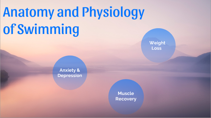 Anatomy & Physiology of Swimming by kate pruette on Prezi