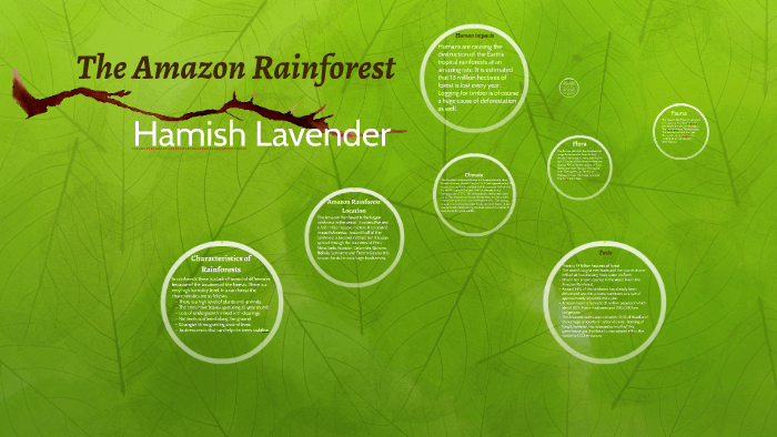 The Amazon Rainforest by hamish lavender on Prezi