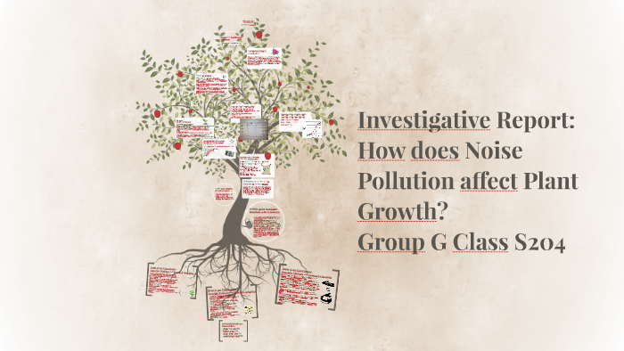 Investigative Report: How does Noise Pollution affect Plant by Teow ...