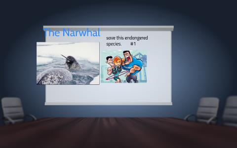 The Narwhal by daniel massingill on Prezi
