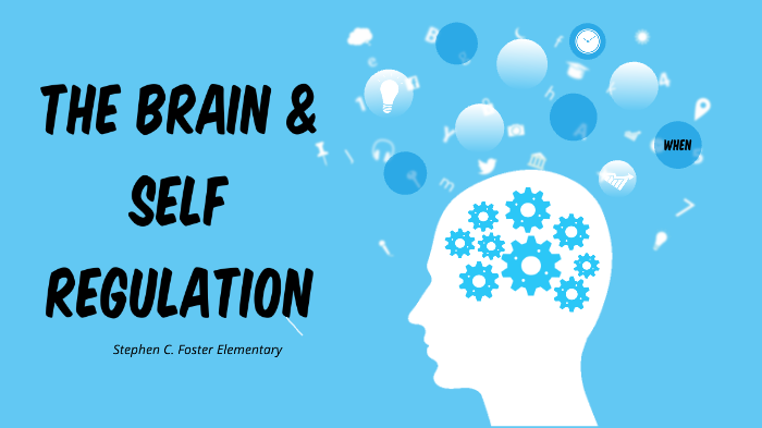 The Brain & Self-Regulation by Marley Gastrock on Prezi