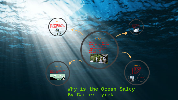 Why is the Ocean Salty by carter lyrek
