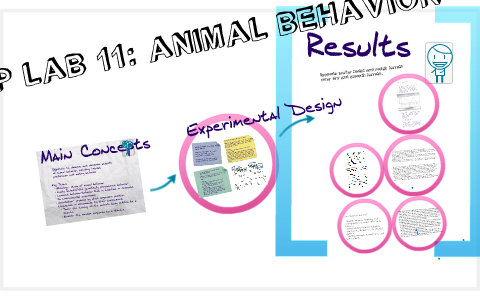 AP Lab 11: Animal Behavior by Michael Campbell on Prezi