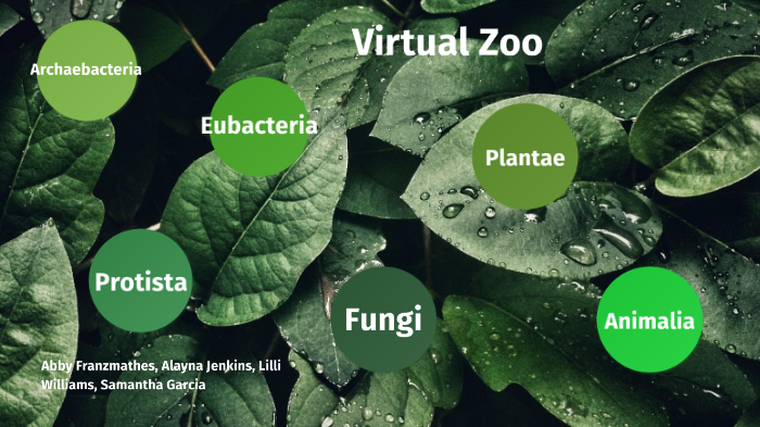 hi guys :) by Alayna Jenkins on Prezi