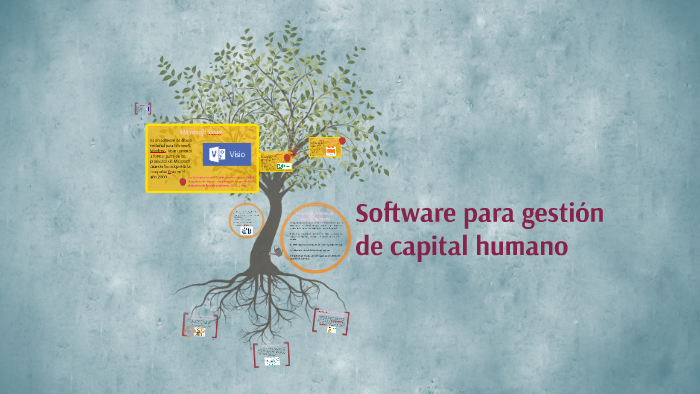 Software Para Gestion De Capital Humano By Lizbeth Vega